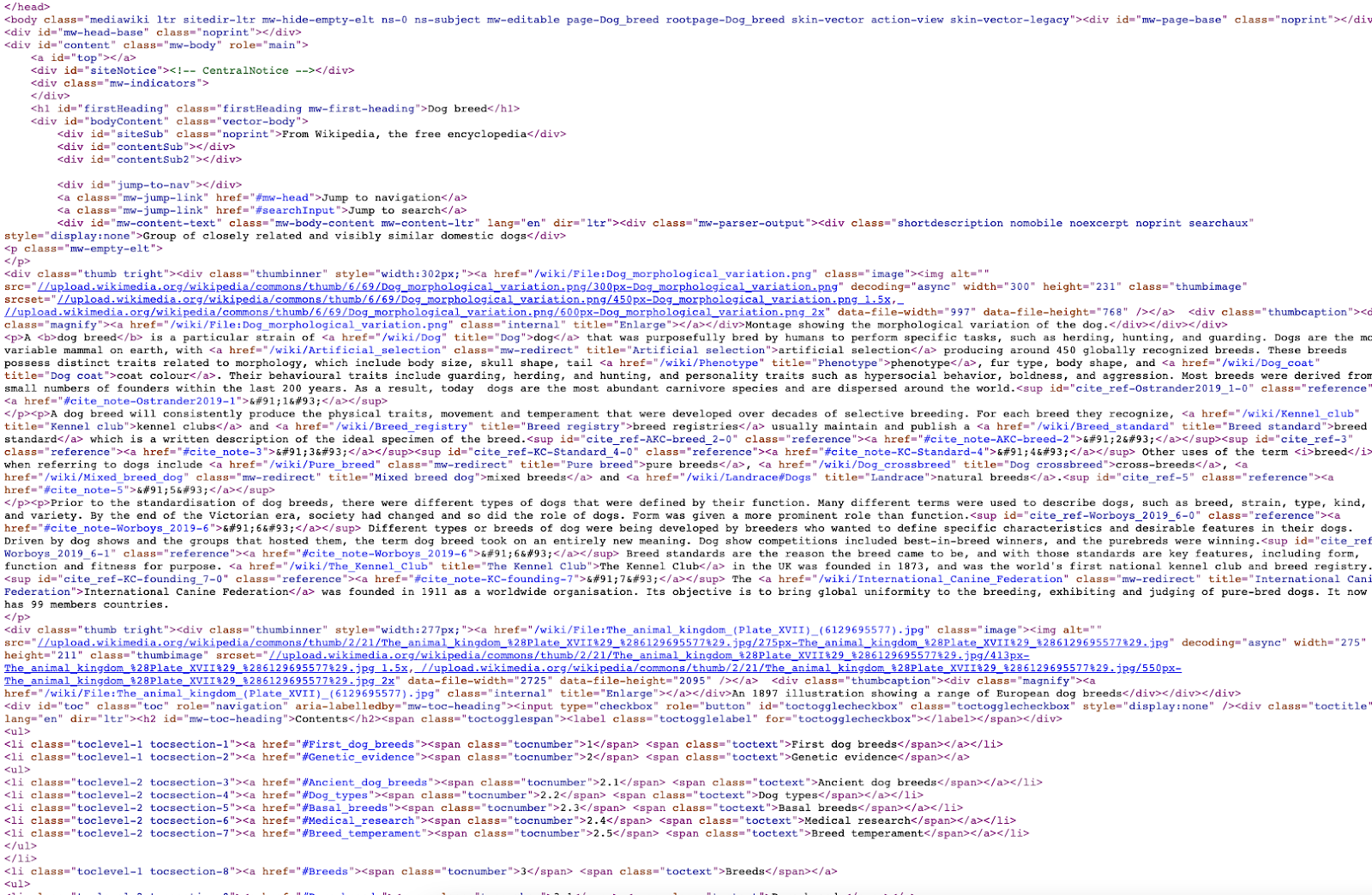 What is the Difference Between Source Code and Object Code? [+Examples]